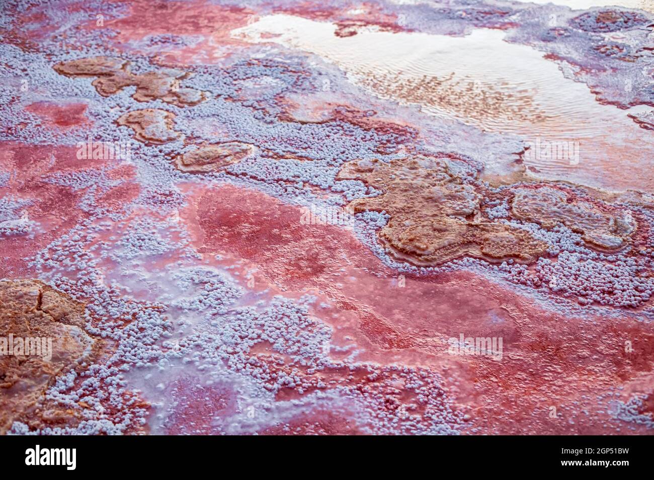 Sahara Desert, Salt Lake, Tunisia. Salt close-up in the salt desert ...