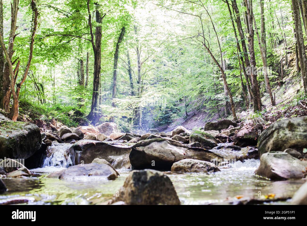 Mountain River Stream Through Summer Forest. Clear Water. Day In Nature ...