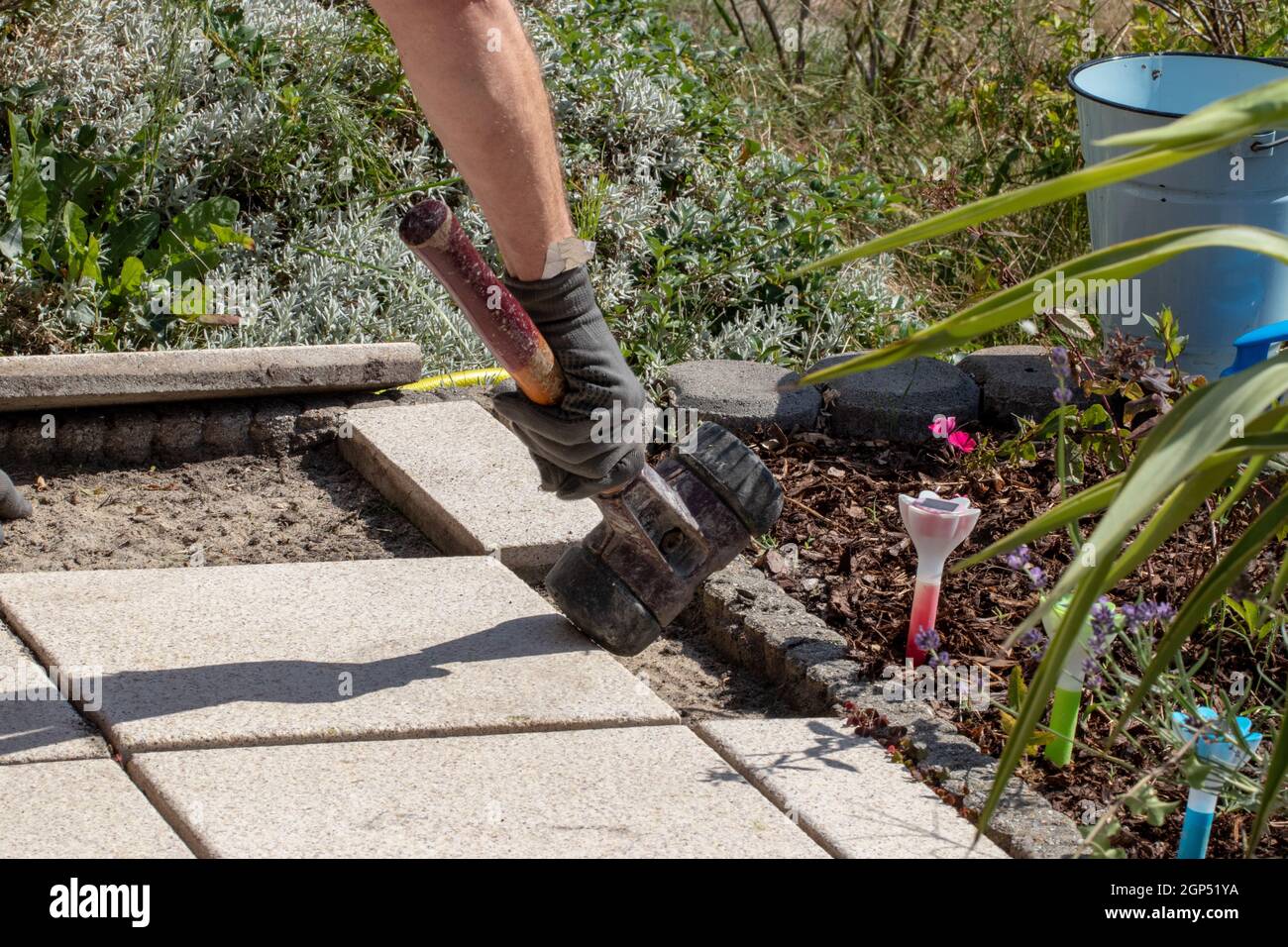 Tools of the craftsman. A professional paver worker laying patio slabs ...