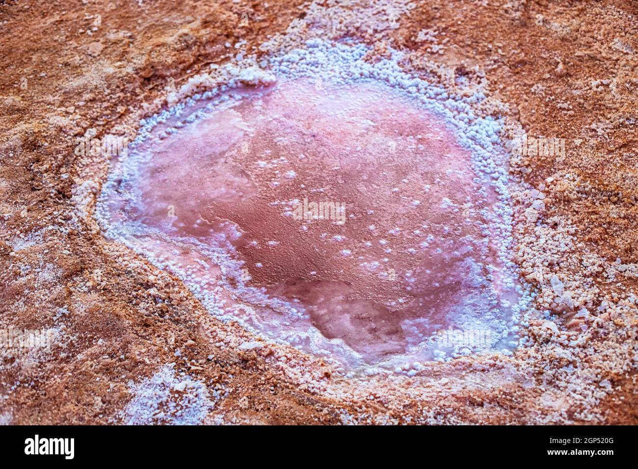 Sahara Desert, Salt Lake, Tunisia. Salt close-up in the salt desert ...