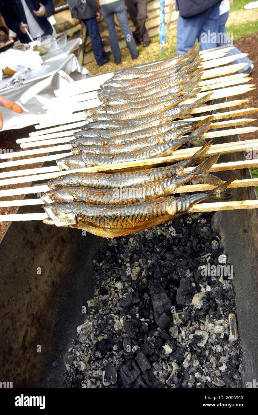 Fish On A Stick High Resolution Stock Photography and Images - Alamy