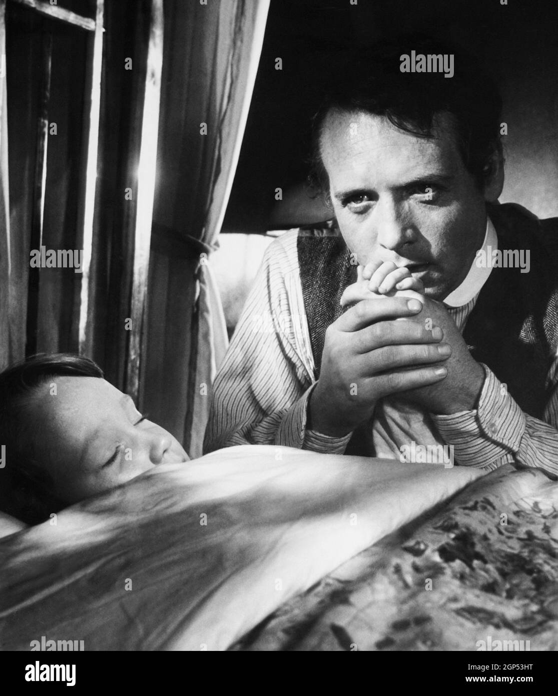 THE THREE LIVES OF THOMASINA, from left: Denis Gilmore, Patrick ...