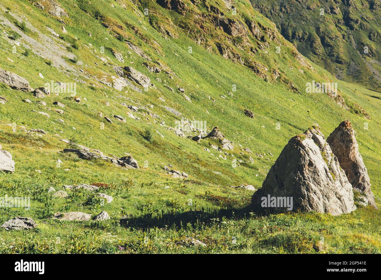 mountain landscape in the western Caucasus. Green meadows in the ...