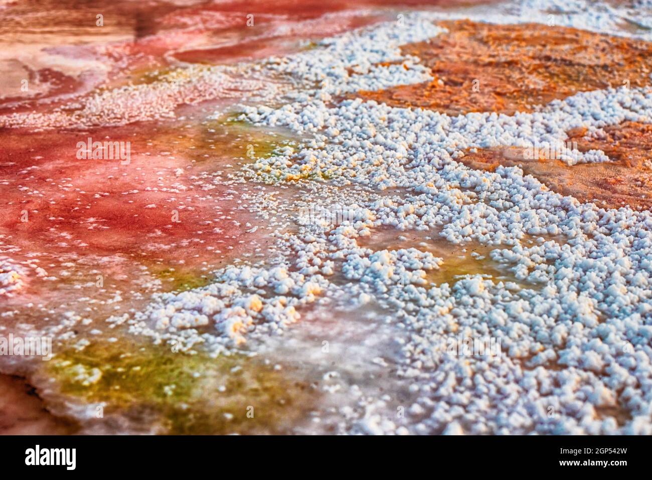 Jerid desert hi-res stock photography and images - Alamy