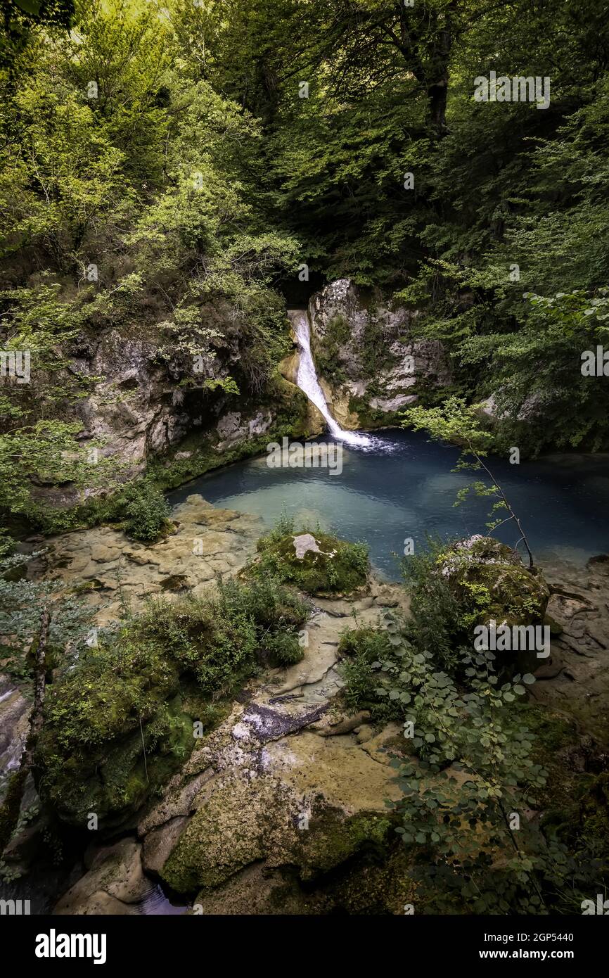 Detail of a waterfall in an ancient forest, nature Stock Photo - Alamy