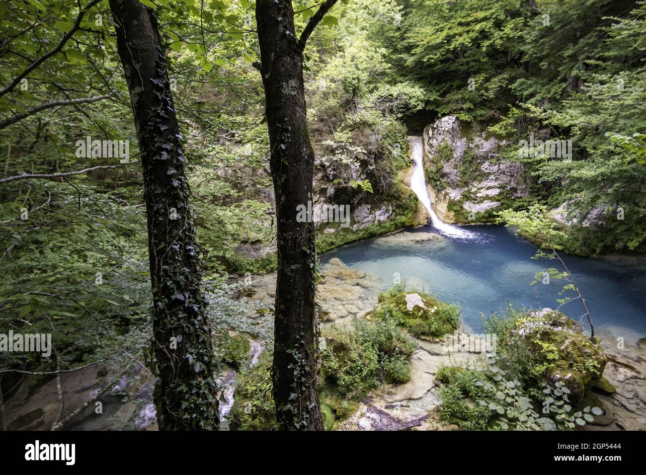 Detail of a waterfall in an ancient forest, nature Stock Photo - Alamy