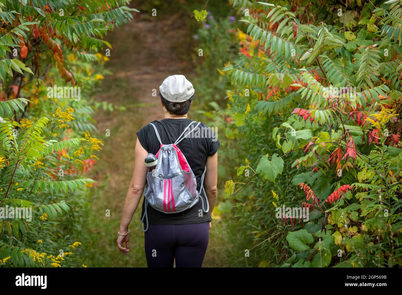 Bruce trail hiking path hi-res stock photography and images - Alamy
