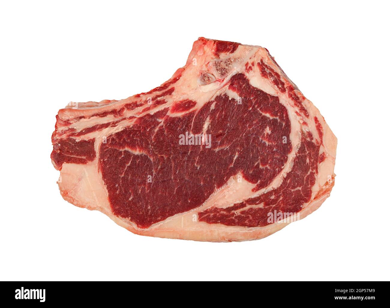 Close up one marbled raw ribeye beef steak with rib bone isolated on ...