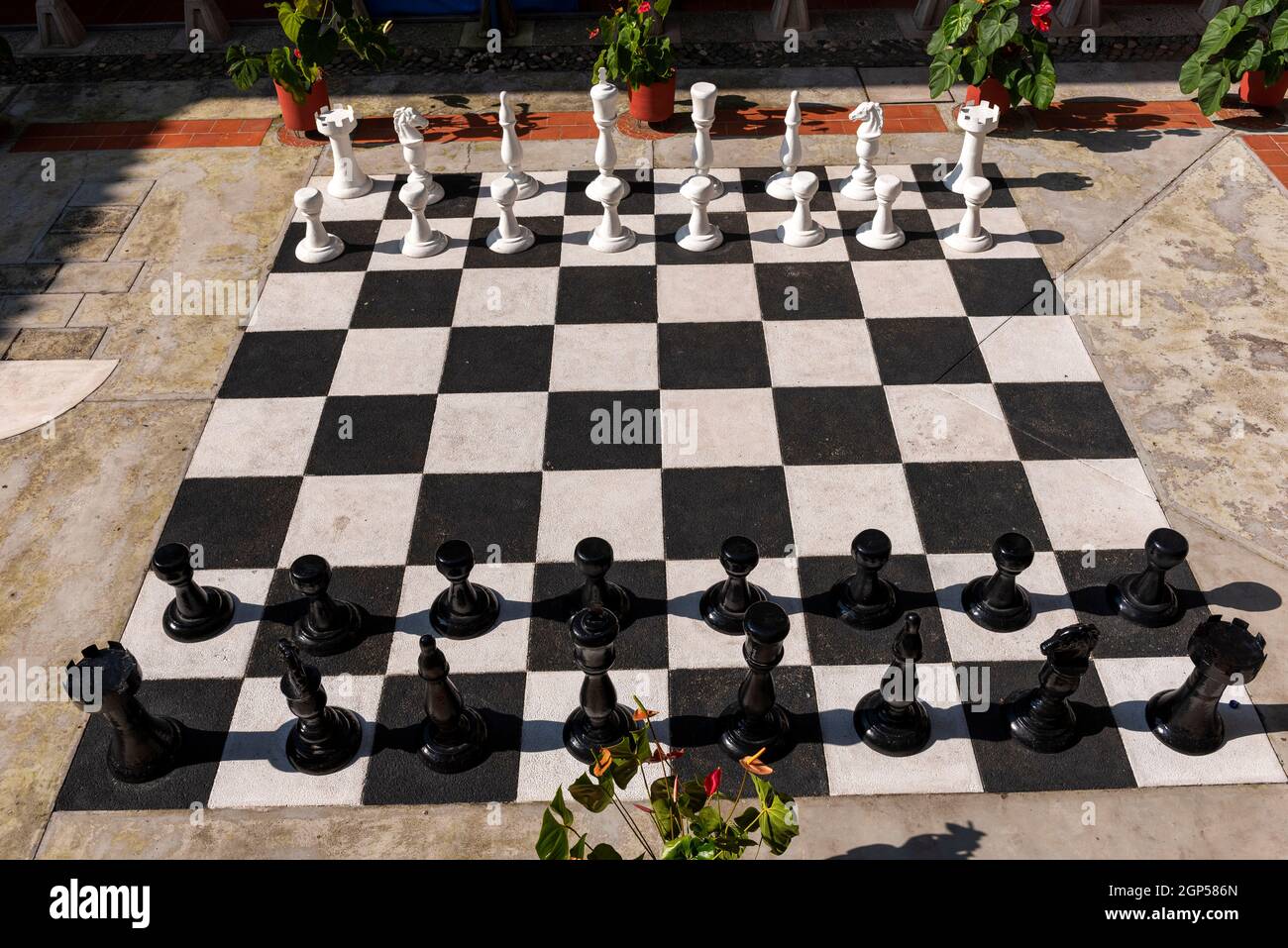 A large life size knight chess pieces on a large chess board, outside ...