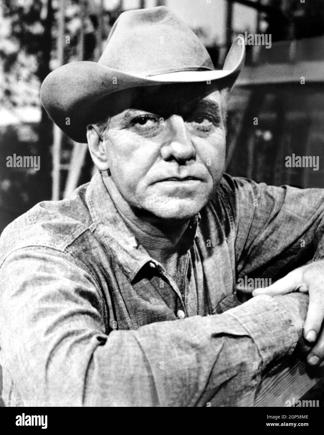 WHEN THE BOYS MEET THE GIRLS, Frank Faylen, 1965 Stock Photo - Alamy