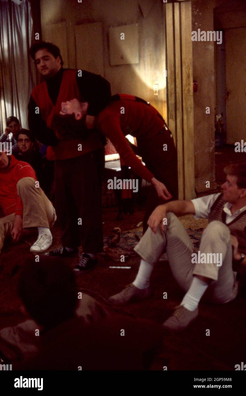 NATIONAL LAMPOON'S ANIMAL HOUSE, John Belushi (top left), 1978 ...
