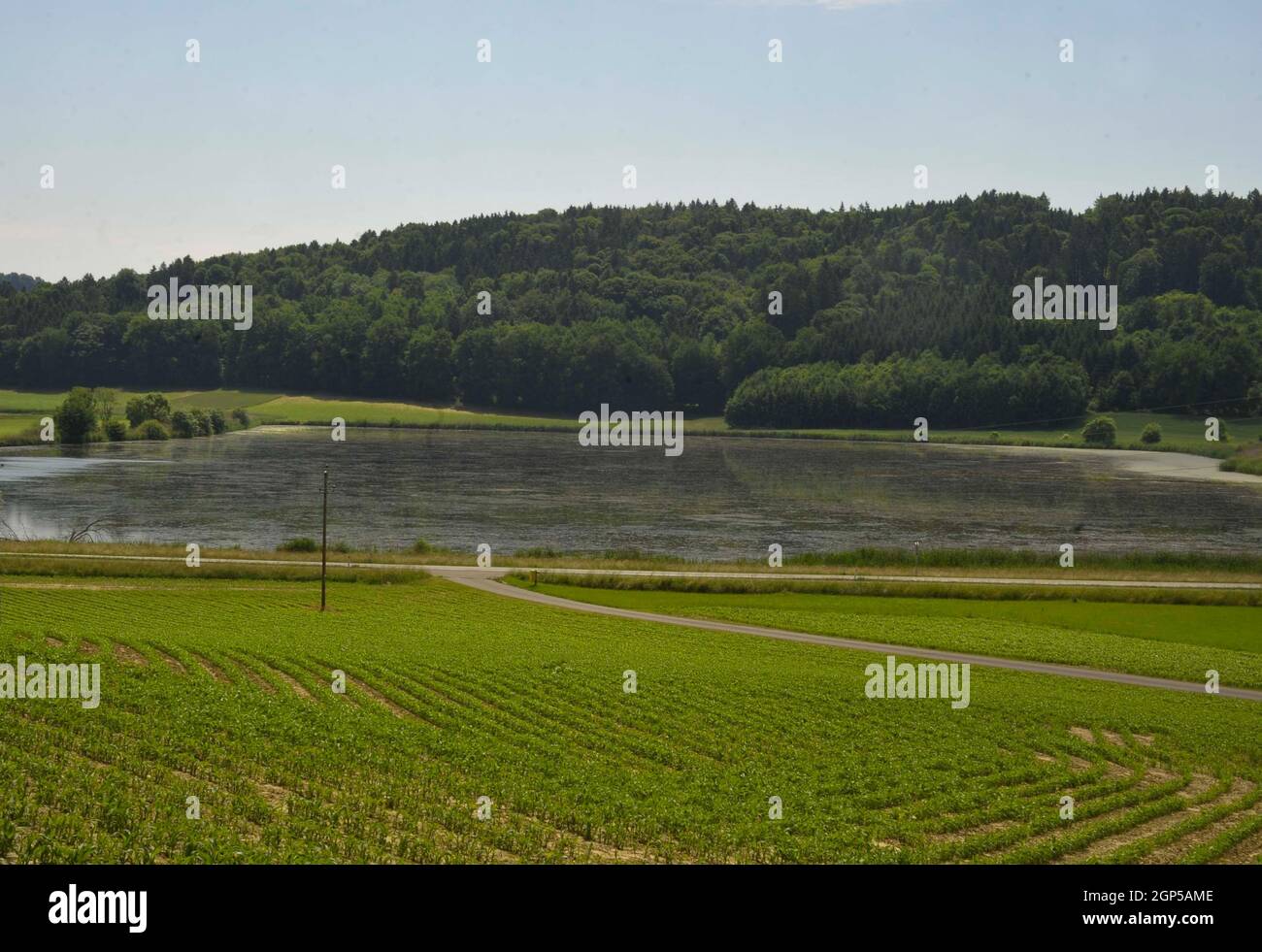 a pond for fish breeding and fish farming, animal husbandry Stock Photo ...