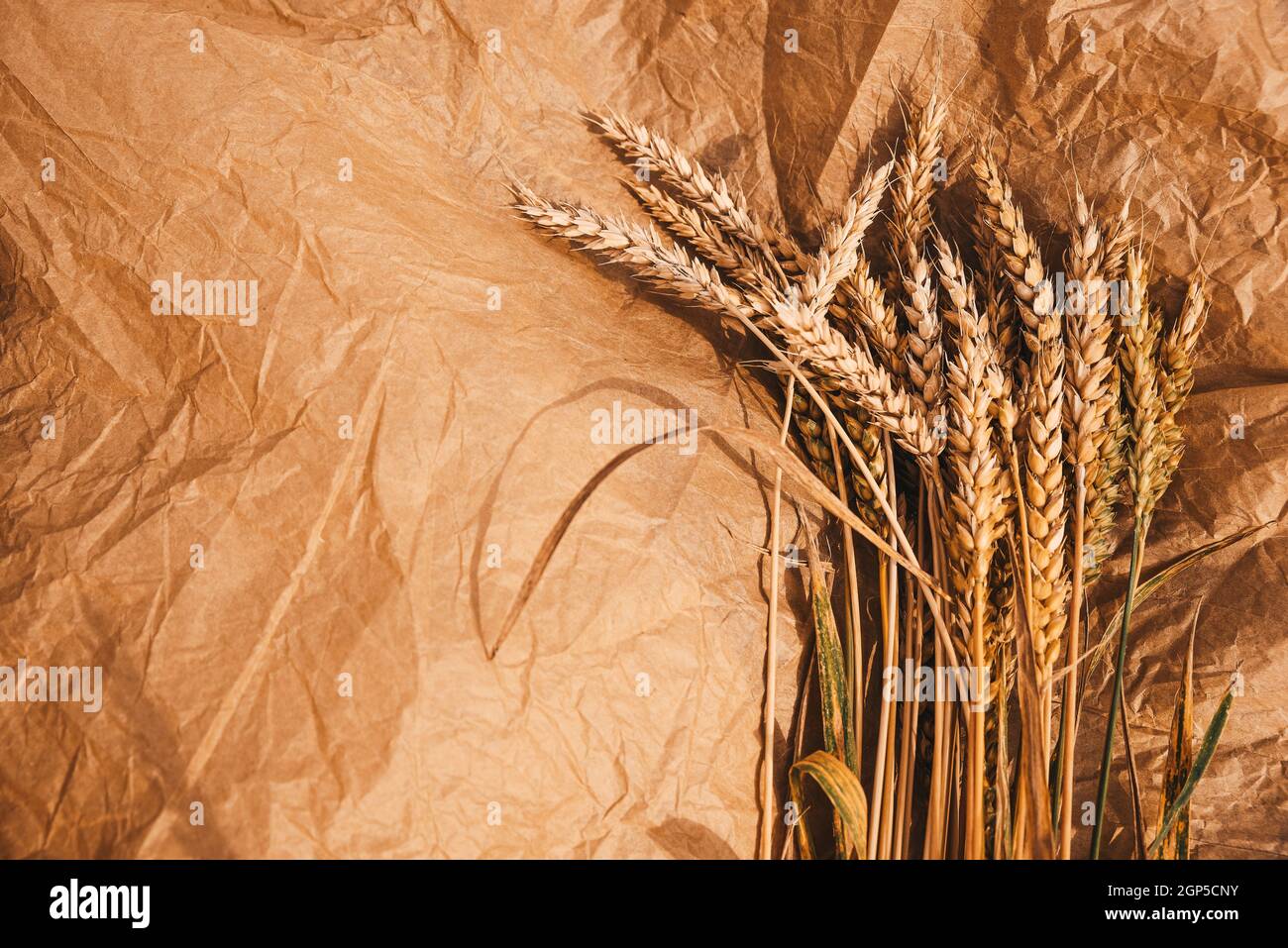 Bunch of ripe golden wheat on craft paper background. The concept of ...