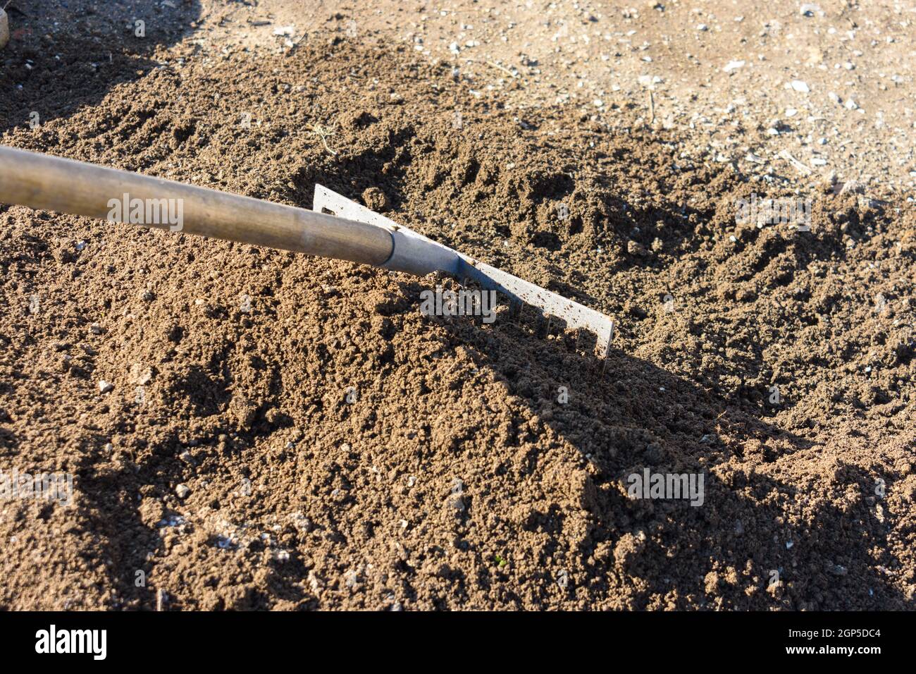 The rake loosens and levels the fertile soil Stock Photo - Alamy