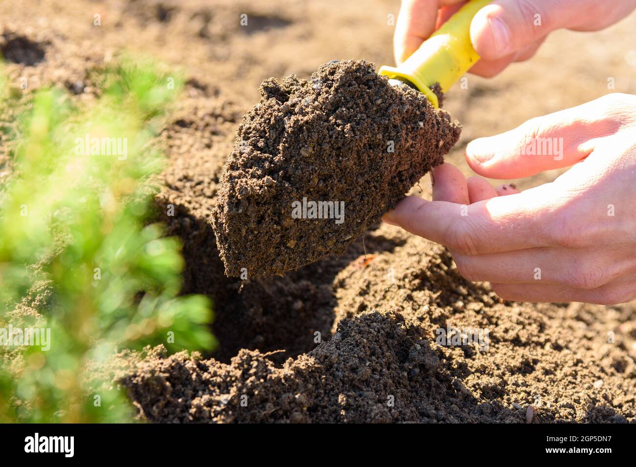 Hands dig a hole with a scoop for planting seedlings of plants Stock ...