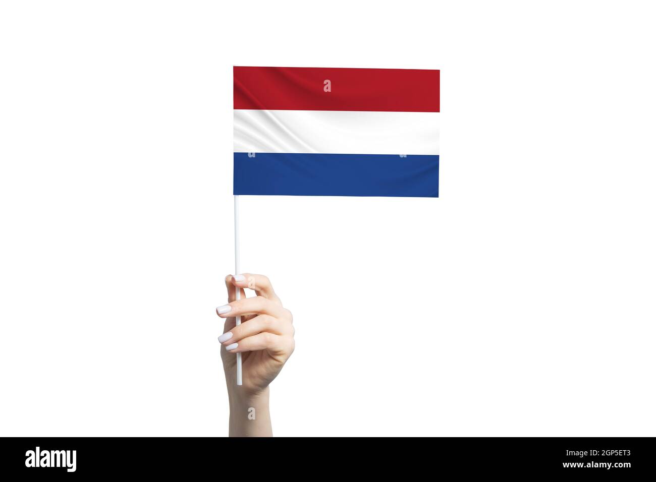 Beautiful female hand holding Netherlands flag, isolated on white ...