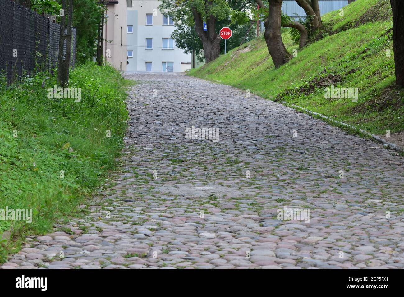 A road paved with stones uphill among grasses and trees. Summer Stock ...