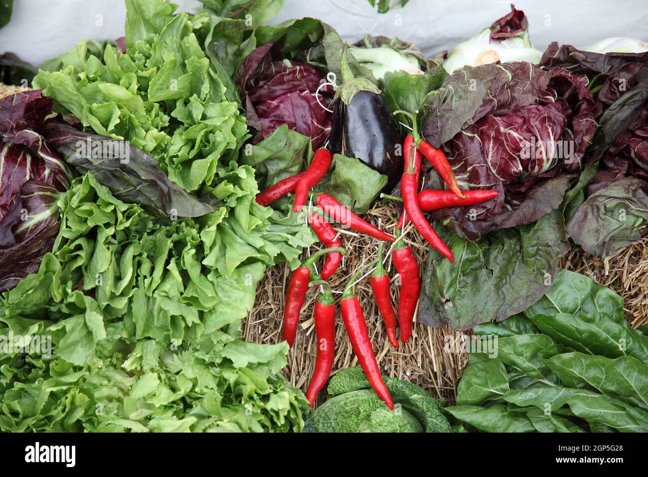 Different types of fruits and vegetables for sale, exposed at the event ...