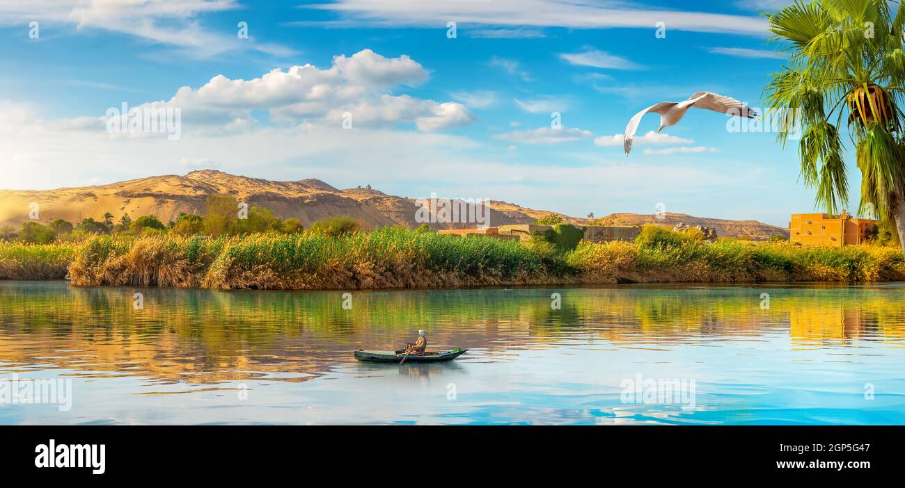 View of the Great Nile in Aswan Stock Photo - Alamy