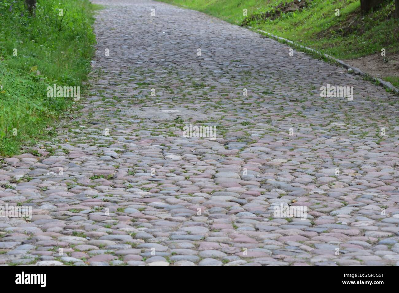 A road paved with stones uphill among grasses and trees. Summer Stock ...