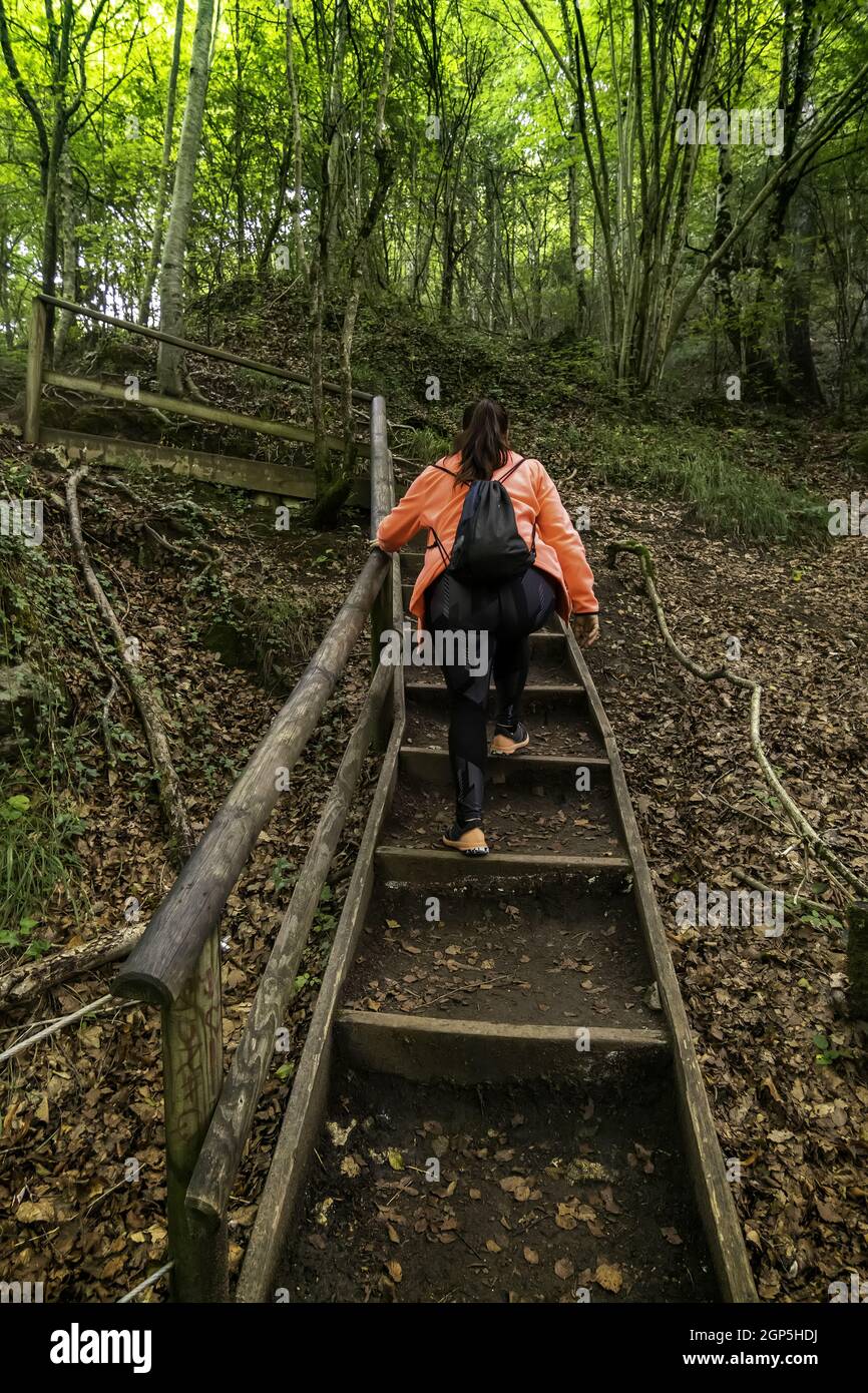 Detail of path in the forest with wooden railings for pedestrians Stock ...