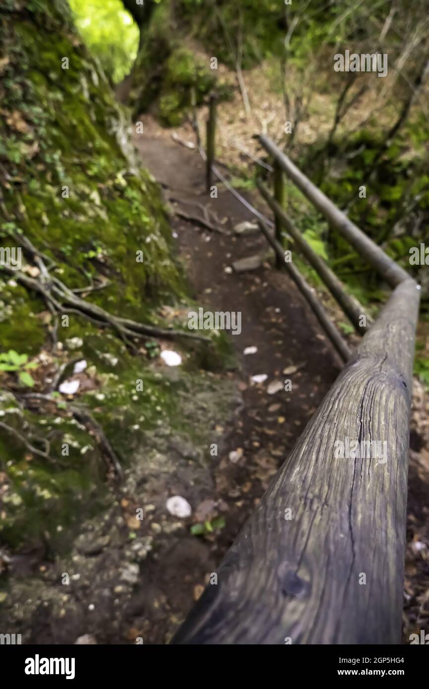 Detail of path in the forest with wooden railings for pedestrians Stock ...