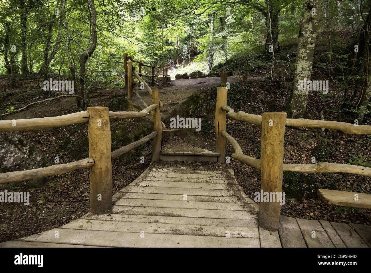 Detail of path in the forest with wooden railings for pedestrians Stock ...