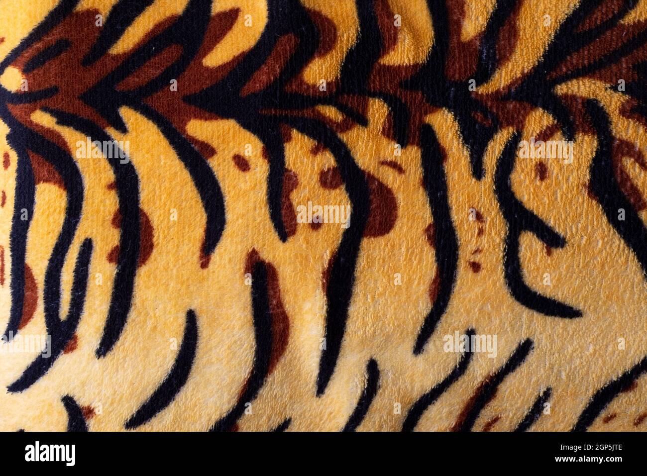 tiger print texture close up, top view, animal pattern Stock Photo - Alamy