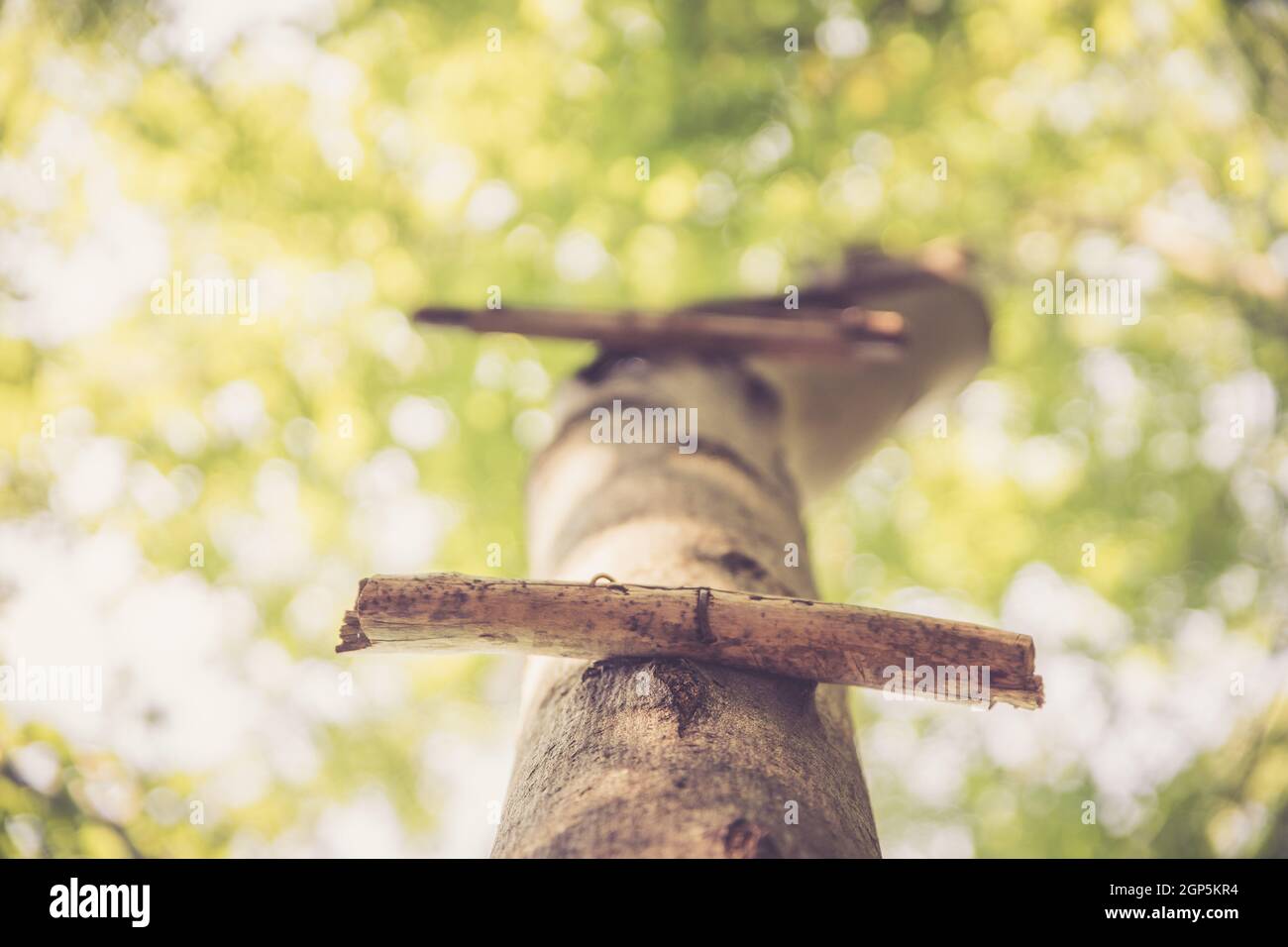 Ladder rung hi-res stock photography and images - Alamy
