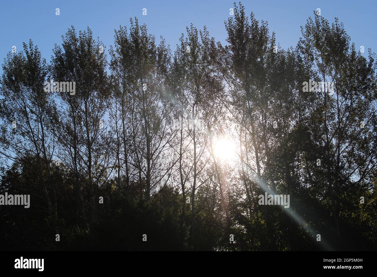 Beautiful sunny fall day in Ohio Stock Photo - Alamy