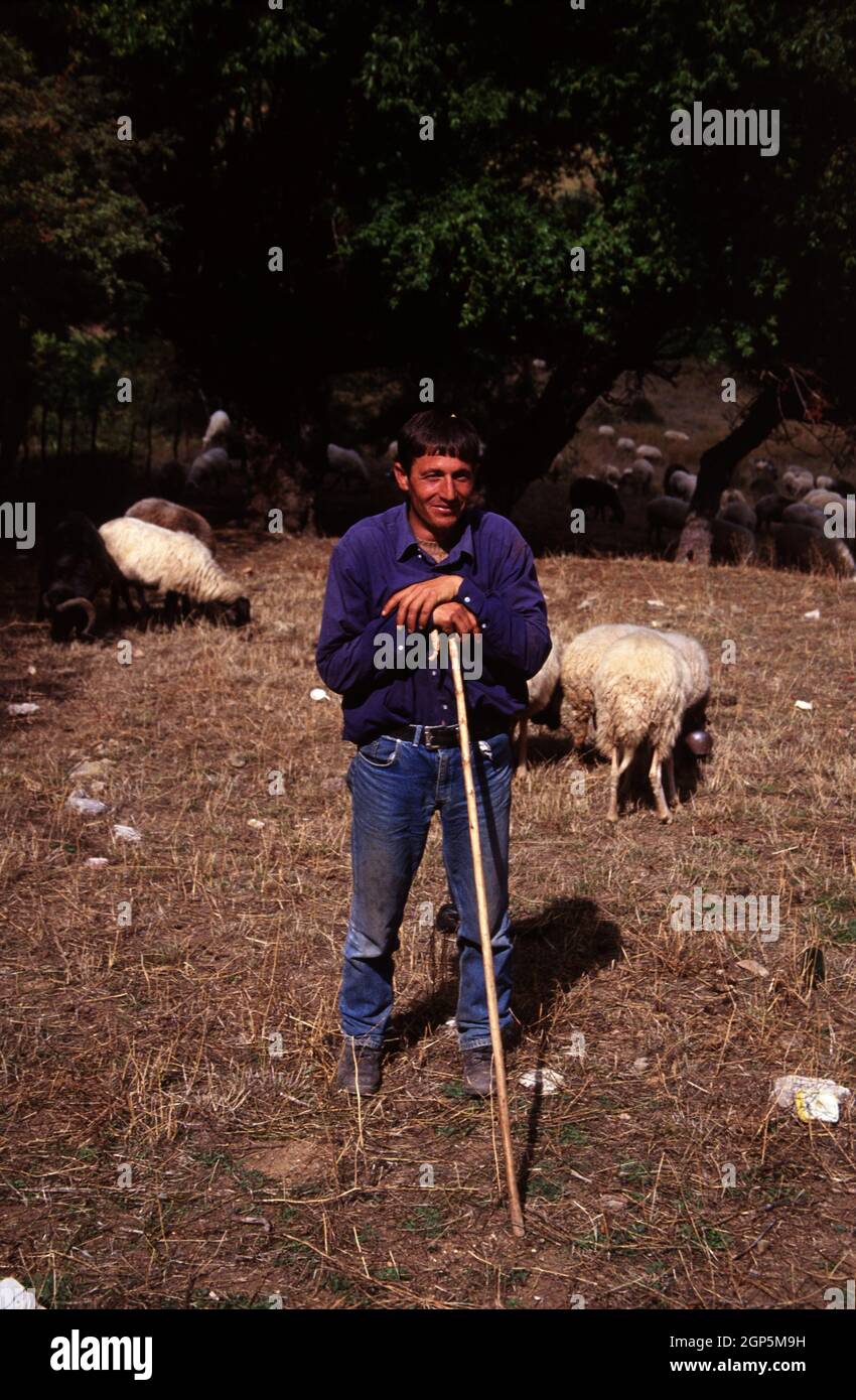 shepherd with his sheep Greece Stock Photo - Alamy