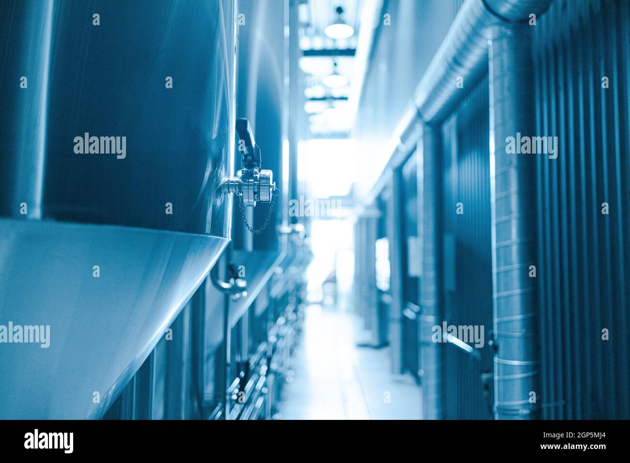 Modern interior craft beer production private microbrewery. Row of ...