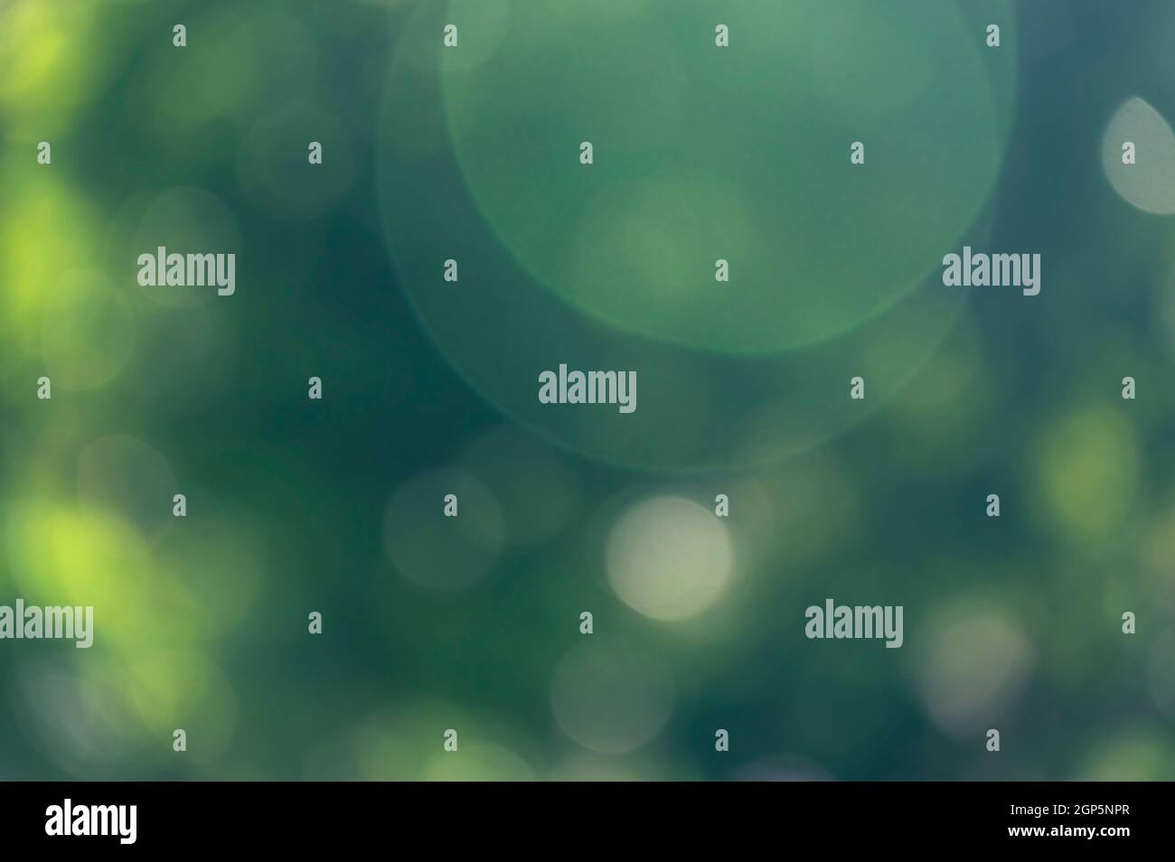 Green bokeh nature shiny background Stock Photo - Alamy
