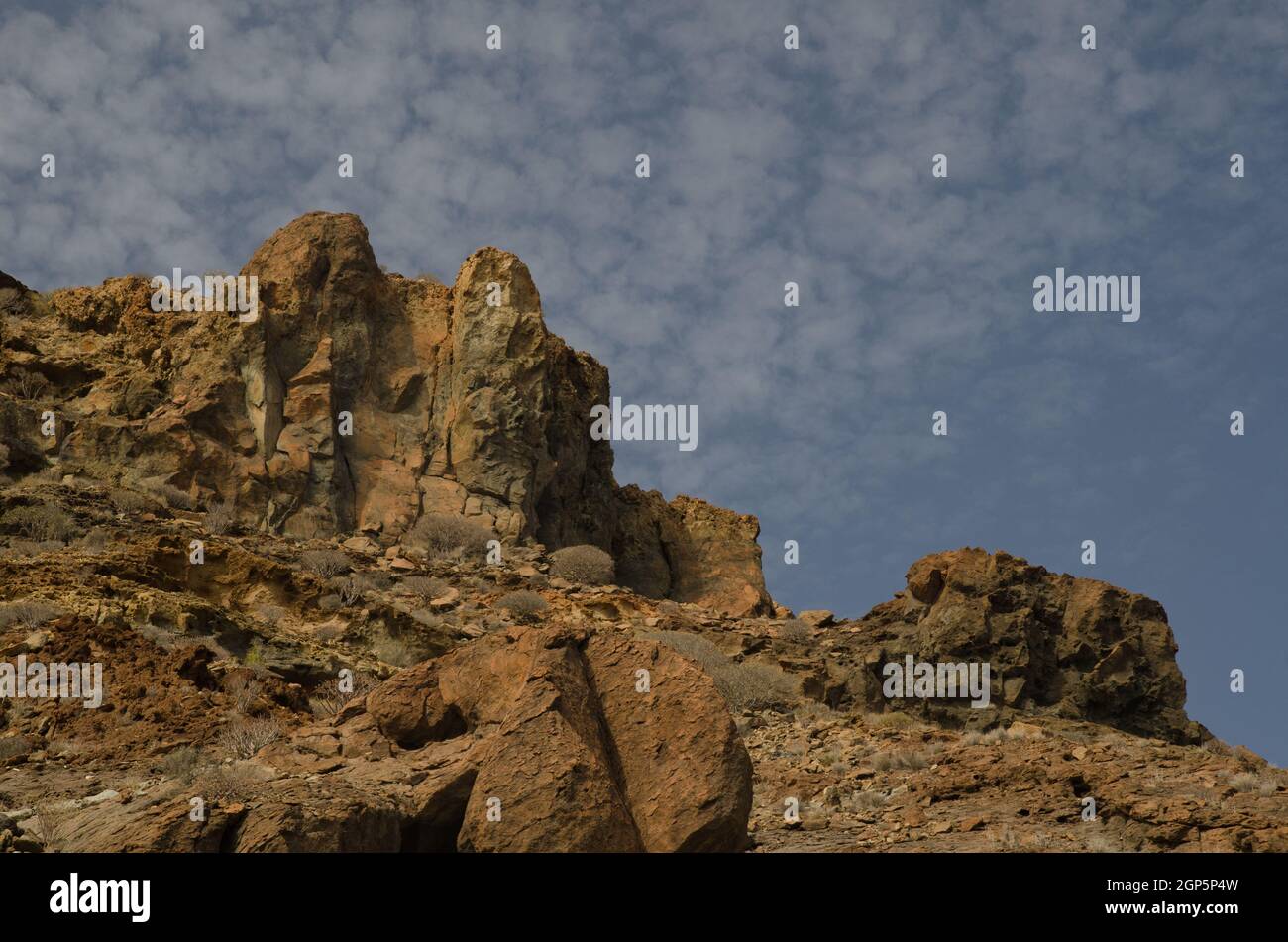 Medio almud hi-res stock photography and images - Alamy