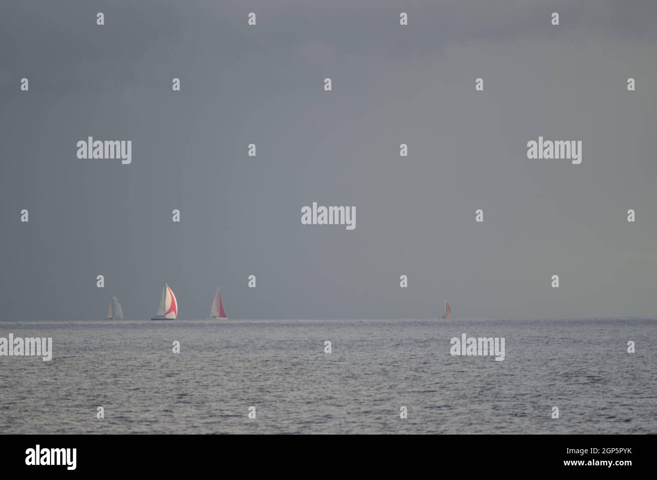 Transatlantic race from the island of Gran Canaria. Arinaga. Aguimes ...