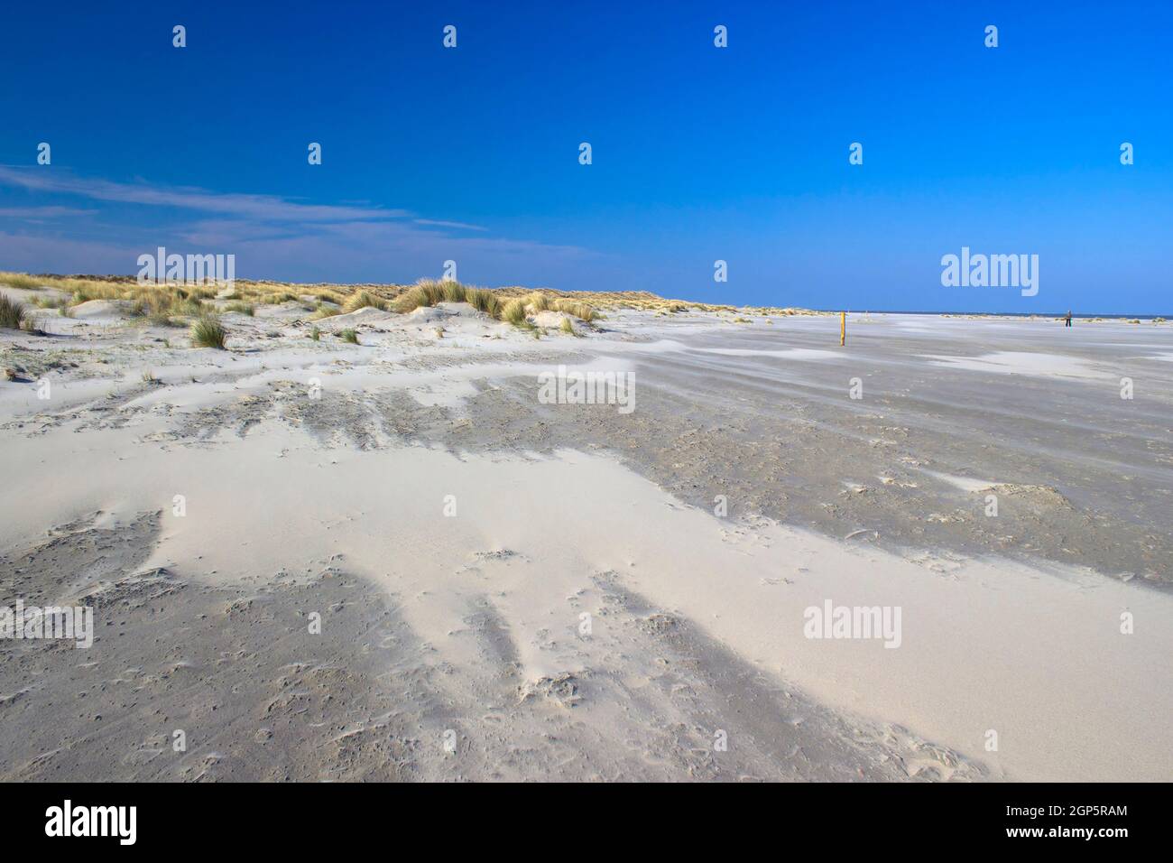 the dunes, Renesse, Zeeland, the Netherlands Stock Photo - Alamy