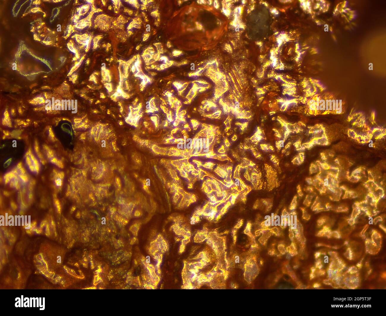 copper ore in a closeup Stock Photo - Alamy