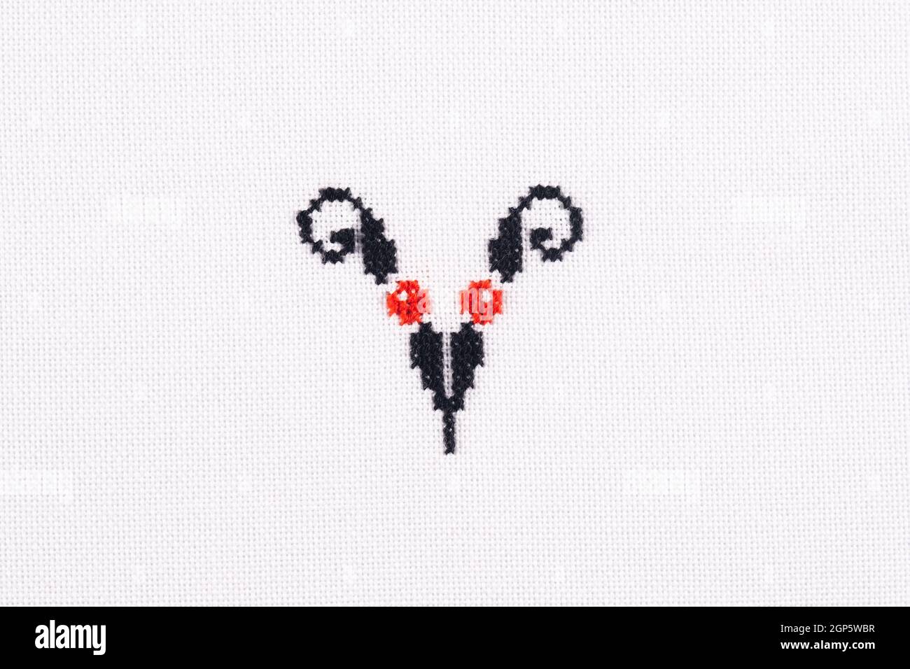 Letter V of Embroidered Cross - Stitch Latin Alphabet on White Linen ...