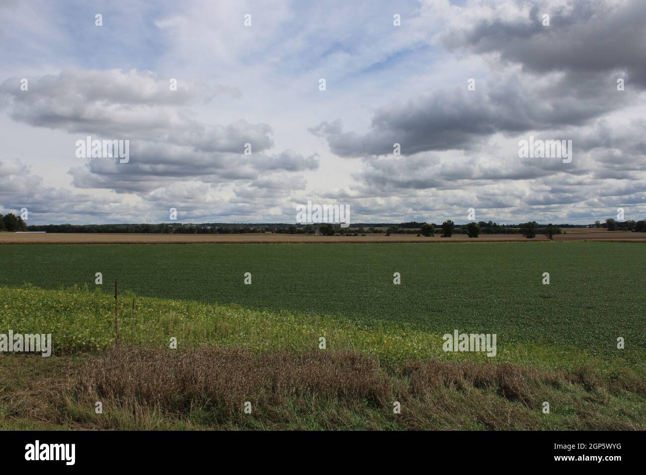 Half cloudy half blue sky hi-res stock photography and images - Alamy