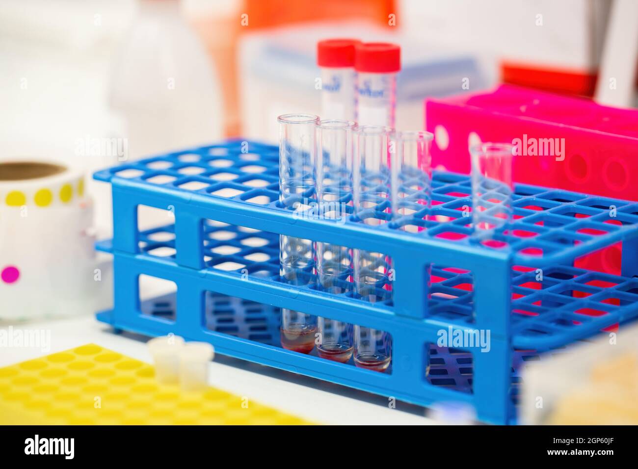 Glass tubes standing in blue stand in chemical laboratory Stock Photo ...