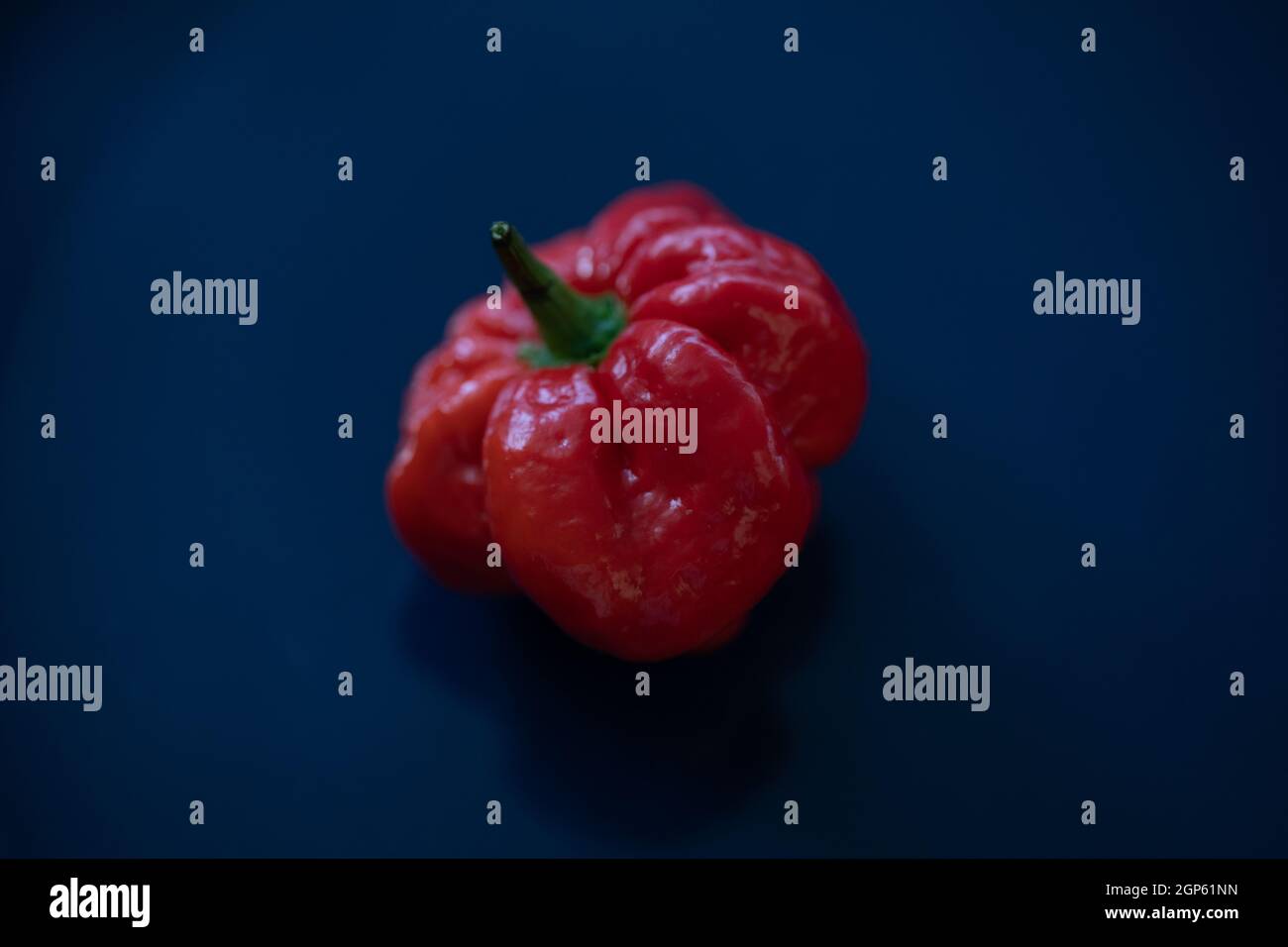 Carolina Reaper Chilli Peppers Stock Photo - Alamy
