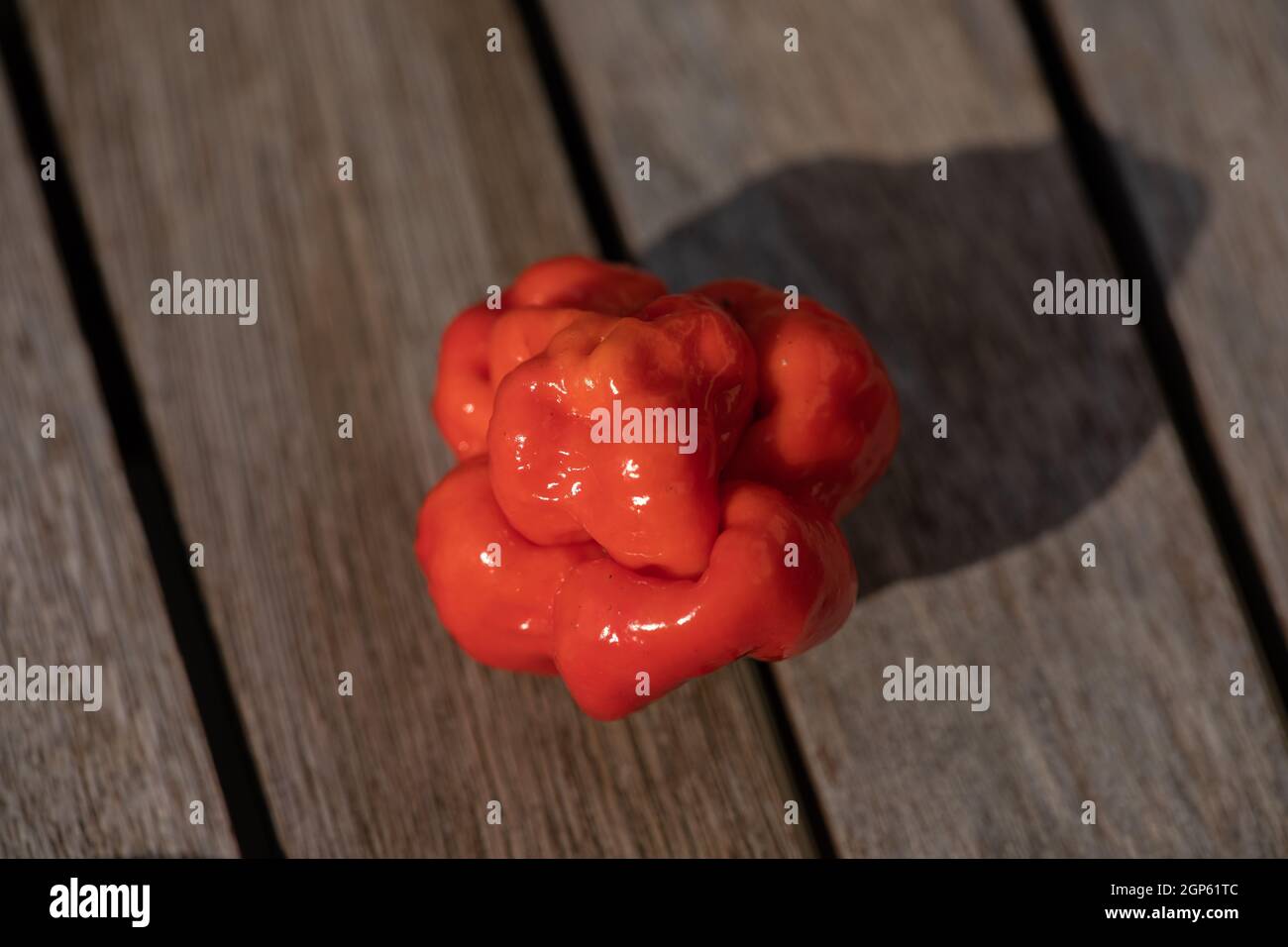 Chilli heat scale hi-res stock photography and images - Alamy
