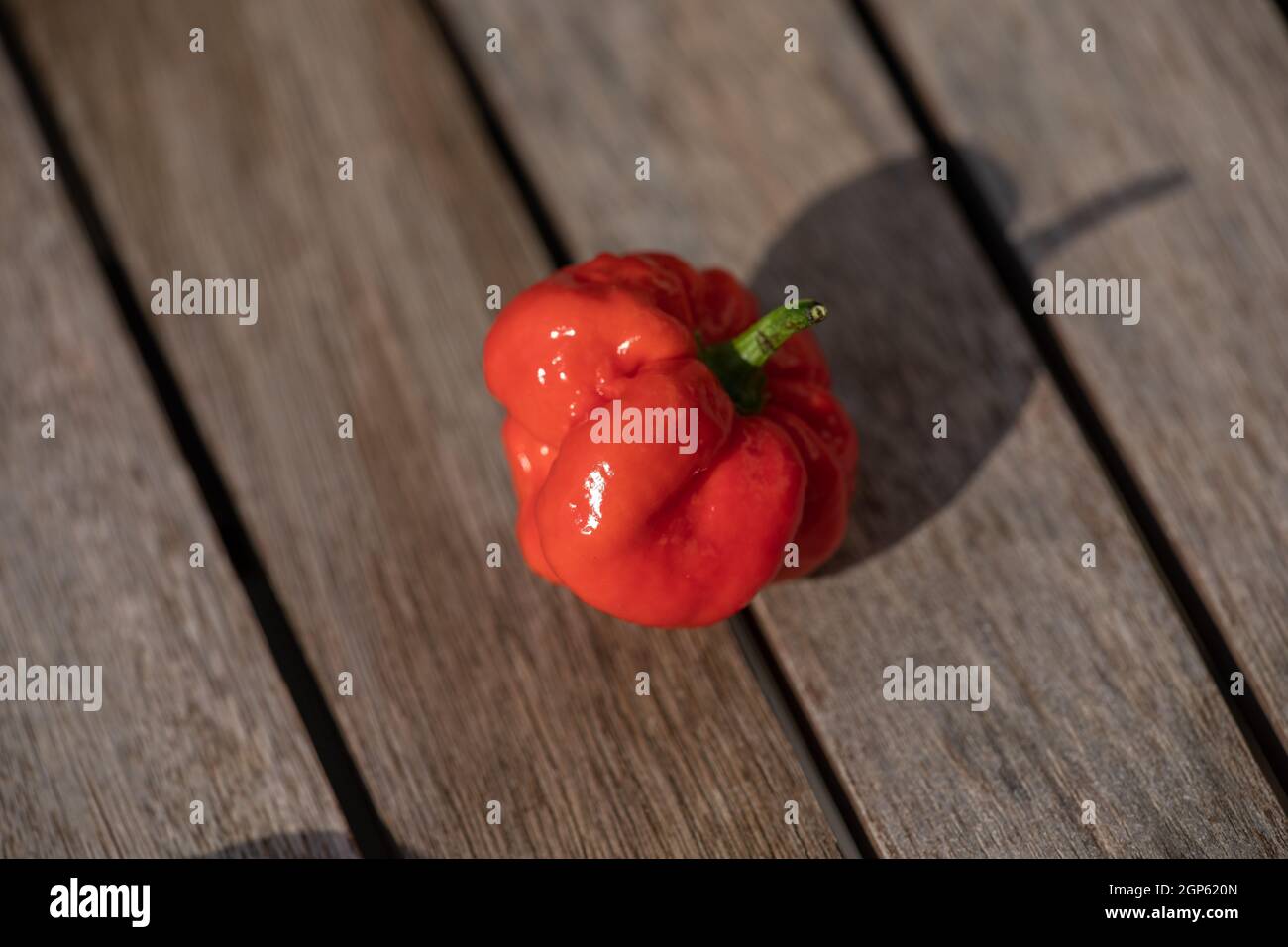 Chilli heat scale hi-res stock photography and images - Alamy