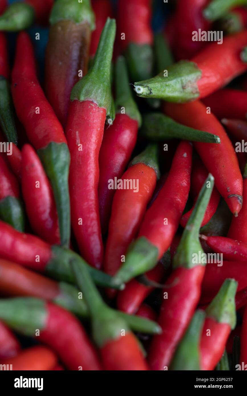 Chilli pepper demon red hi-res stock photography and images - Alamy