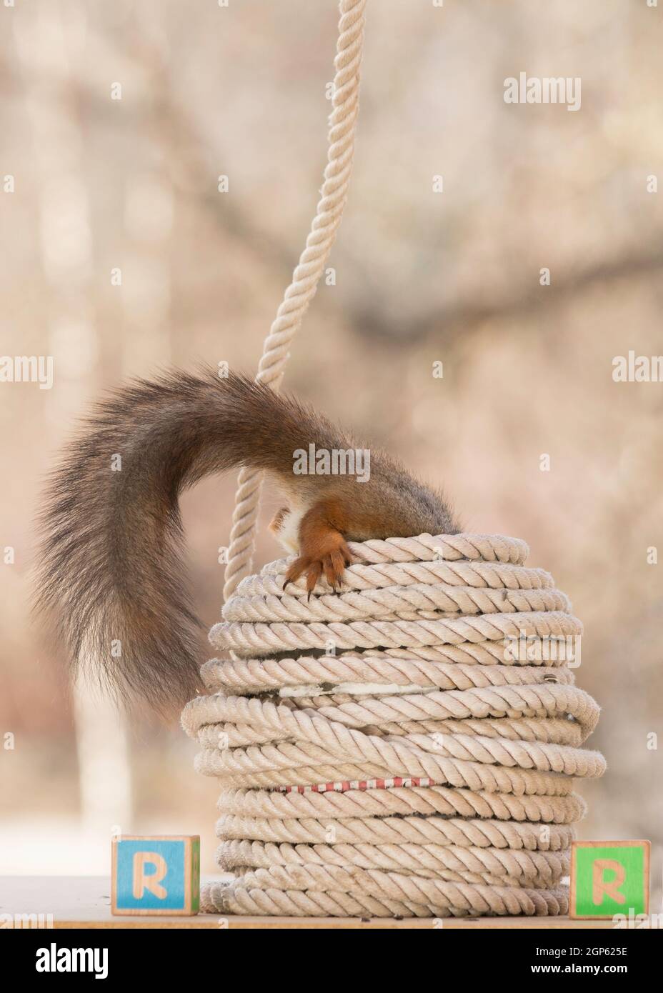 Rope abc hi-res stock photography and images - Alamy