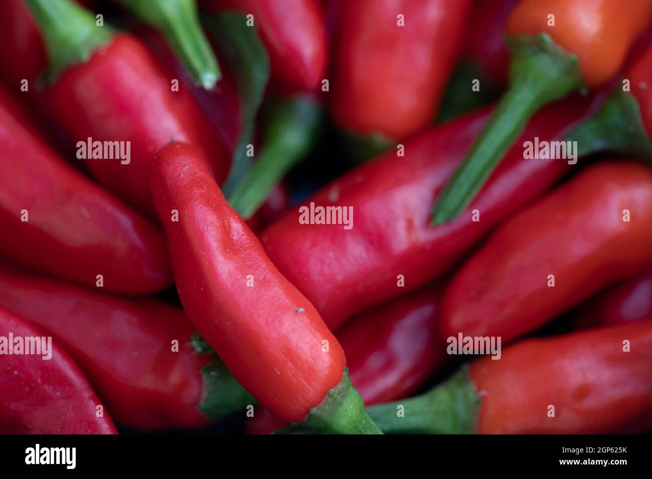 Chilli pepper demon red hi-res stock photography and images - Alamy