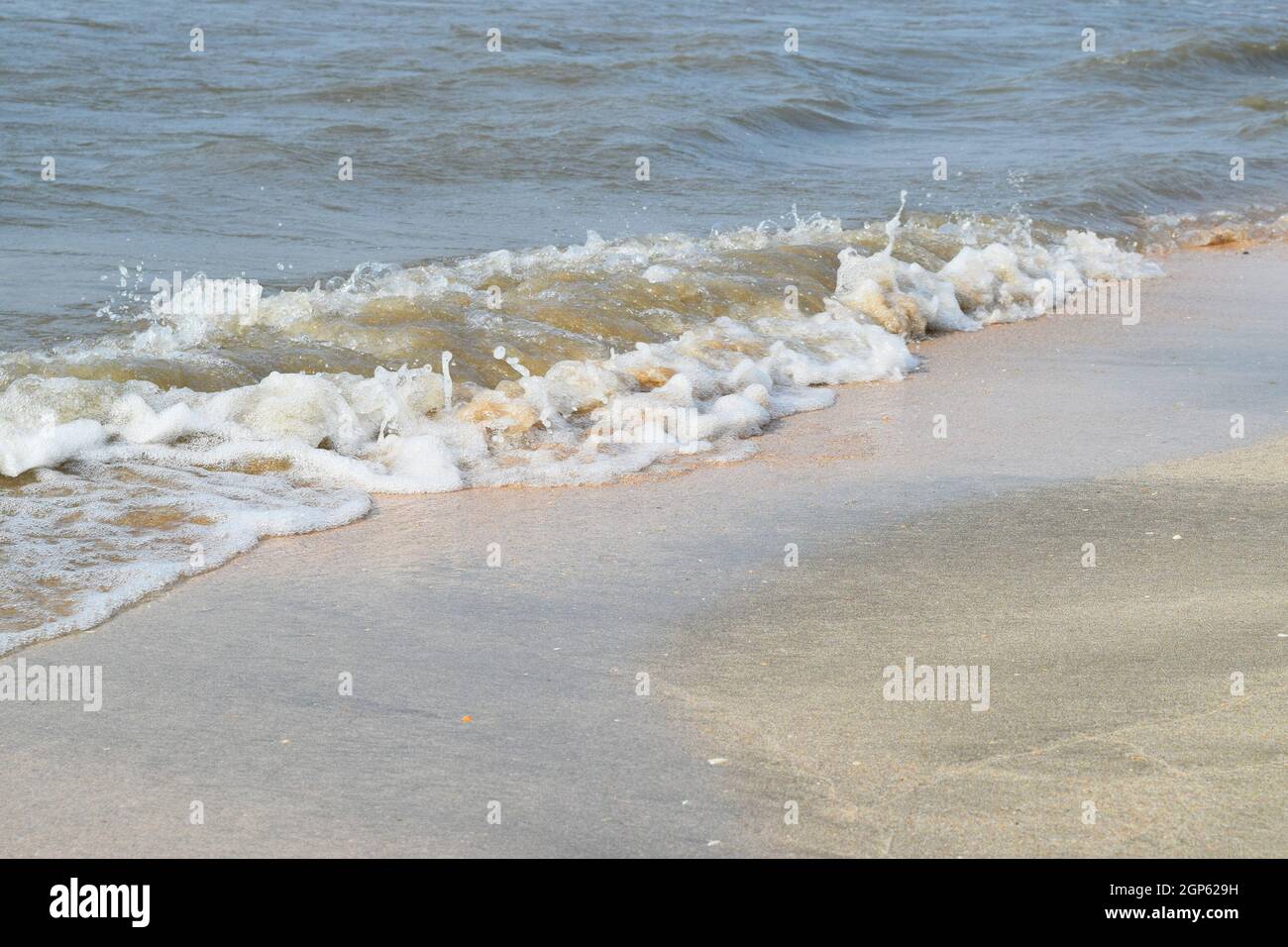 The coast of the Sea of Azov. Beach Sea summer months. Evening time ...