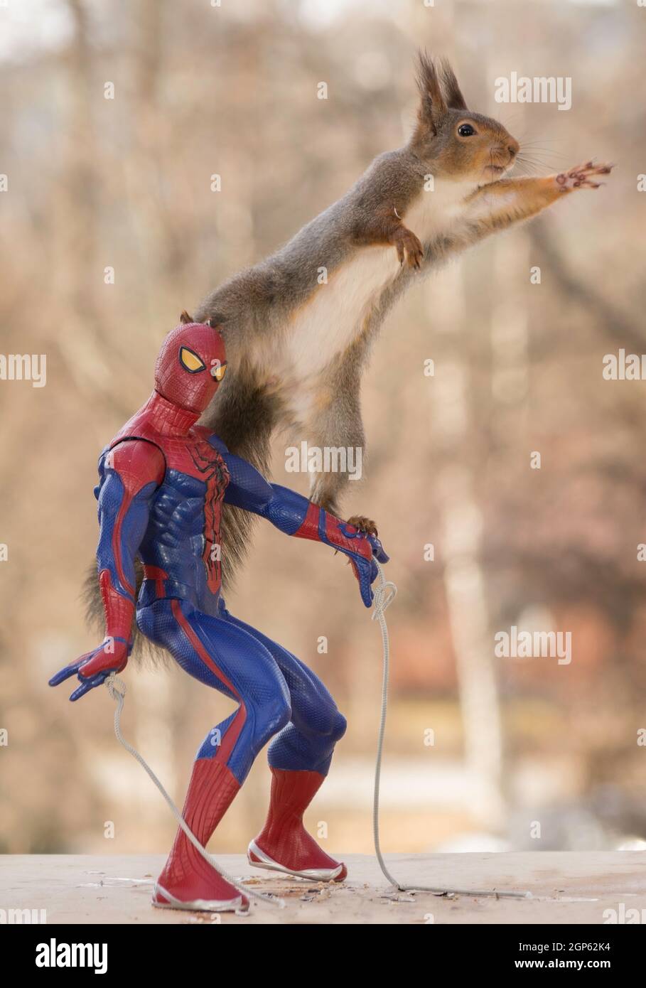Spiderman climb hi-res stock photography and images - Alamy