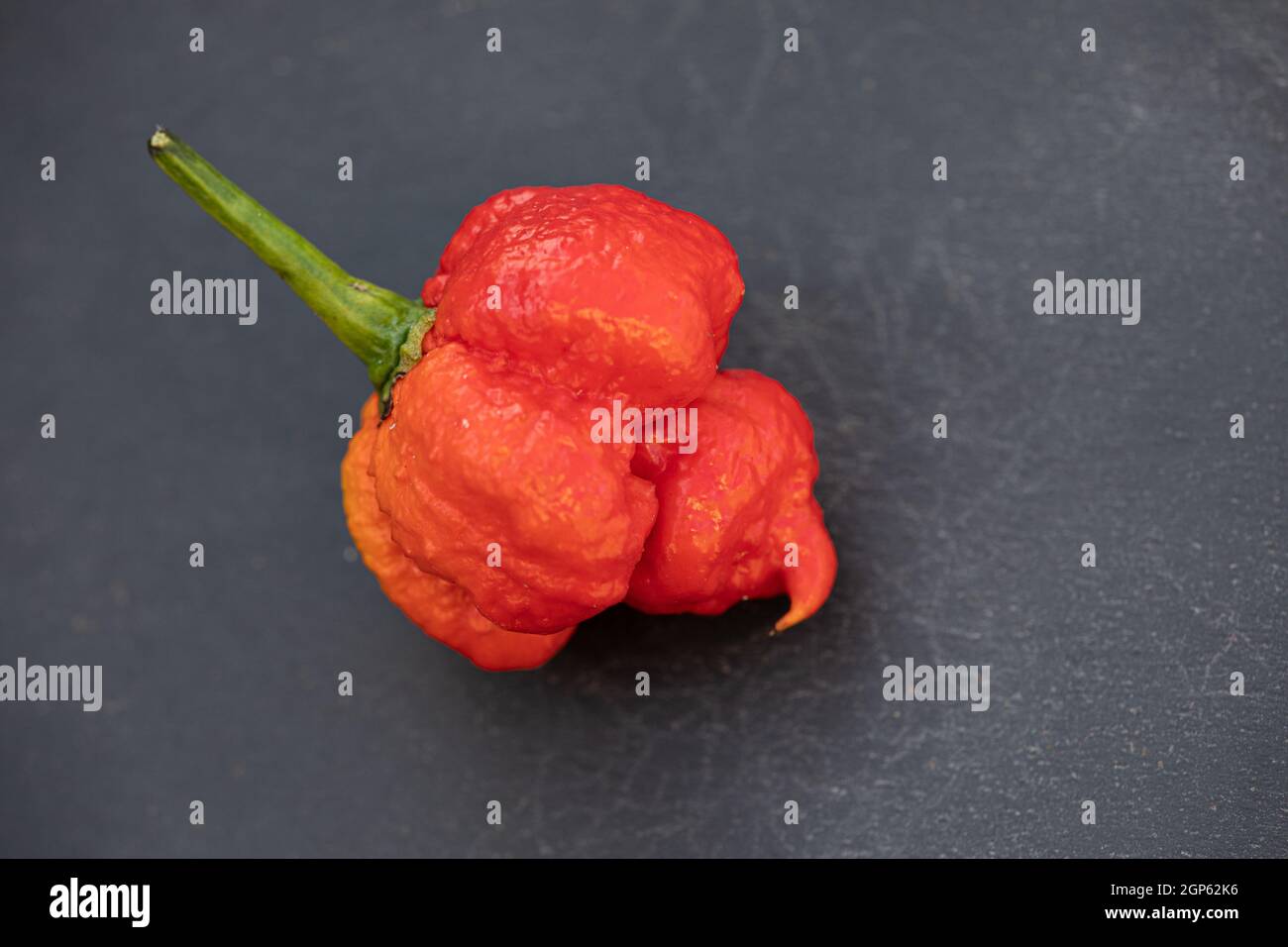 Carolina Reaper Chilli peppers Stock Photo - Alamy