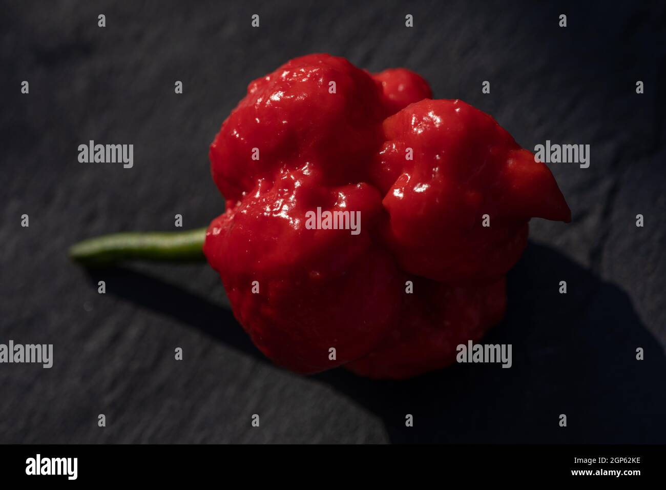 Ghost chilli hi-res stock photography and images - Alamy